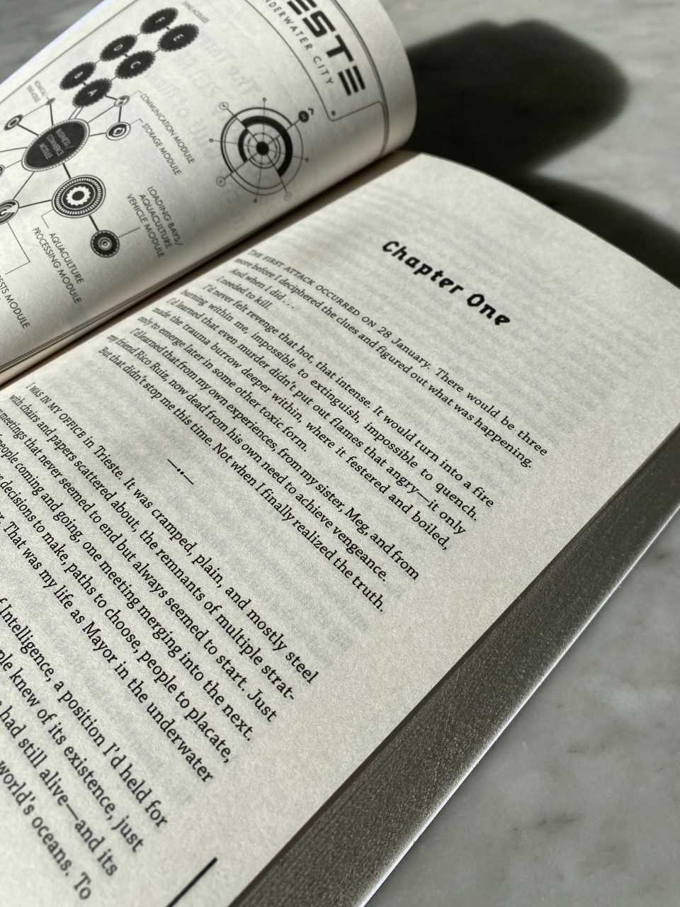 Pictures from Saturday’s Signing and a First Look at the New Book!